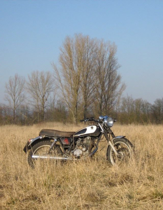 Harley | Motorcycle Photo Of The Day | Page 2
