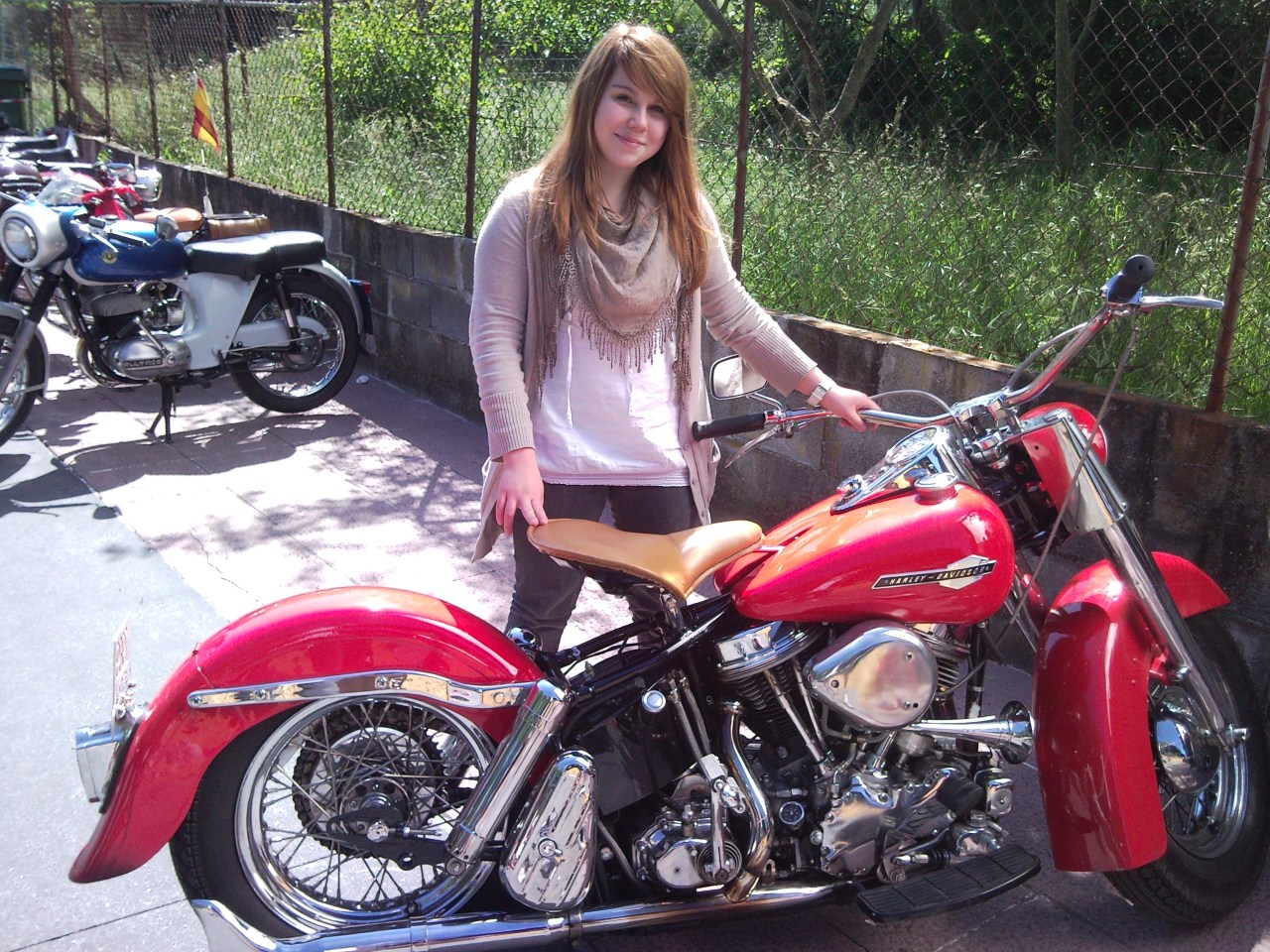 Harley | Motorcycle Photo Of The Day