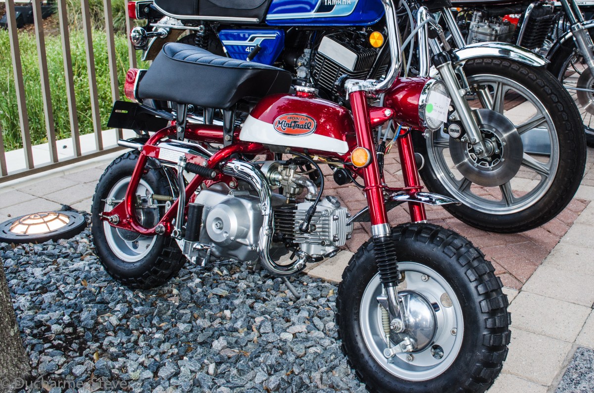 The awsome power of….The Honda Mini-Trail. | Motorcycle Photo Of The Day